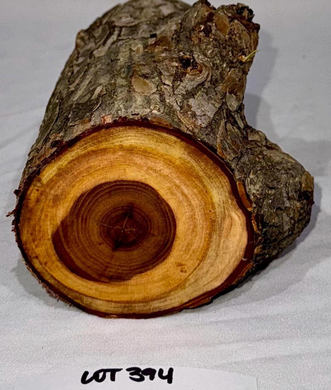 American Hornbeam, Blue Beech, Ironwood, Musclewood Project Log, Green ...