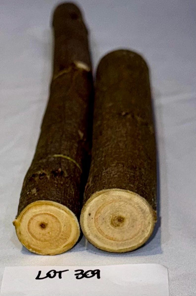 2 Pieces Black Locust Craft Logs, Green Project Wood for Turning ...