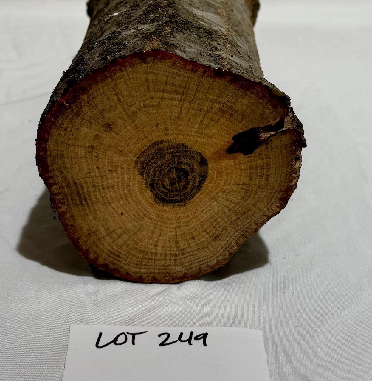 Green Oak Project Log for Wood Turning, Wood Working, Wood Carving ...