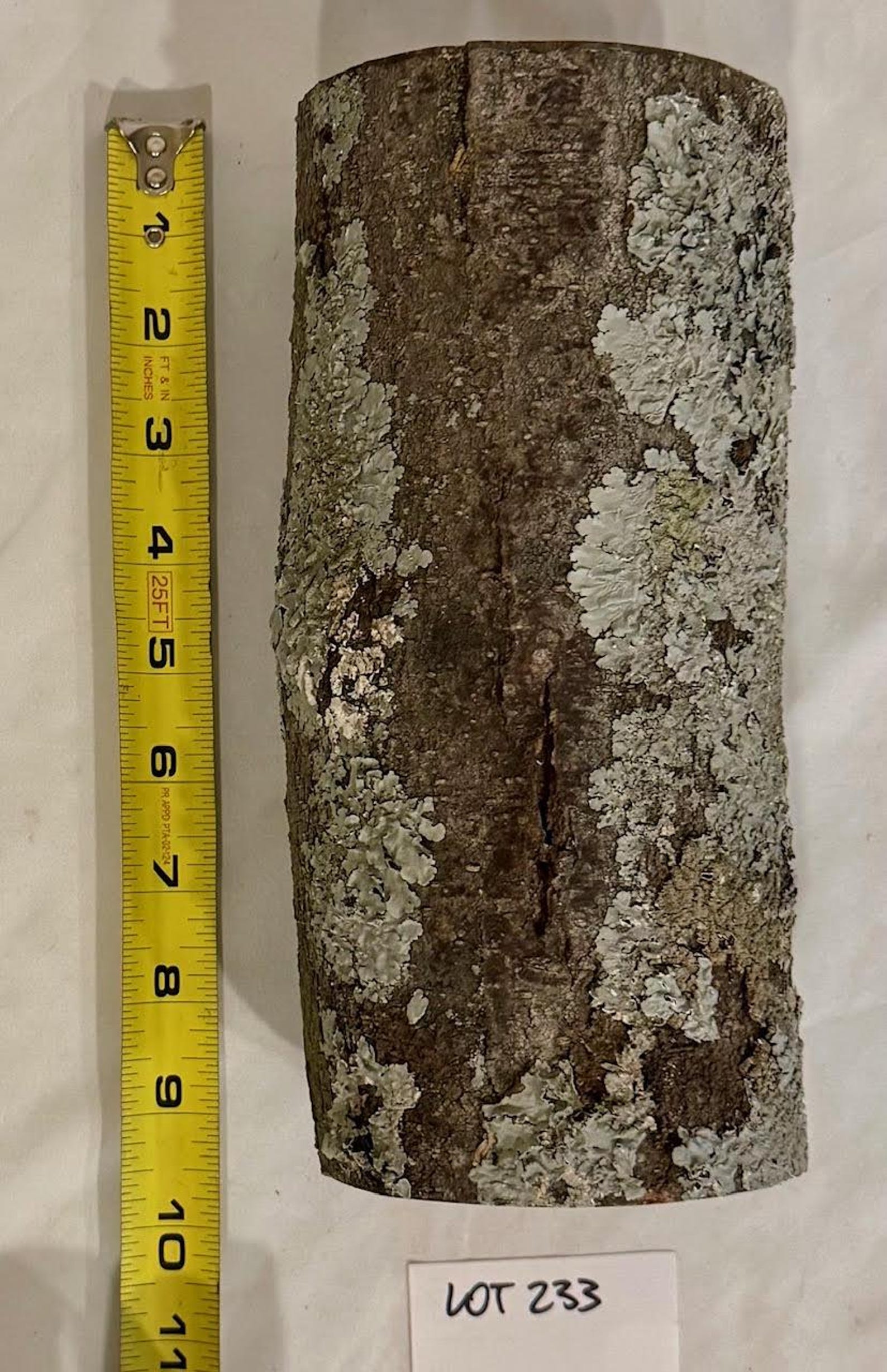 Honey Locust Project Log, Green Project Wood for Woodworking, Wood ...