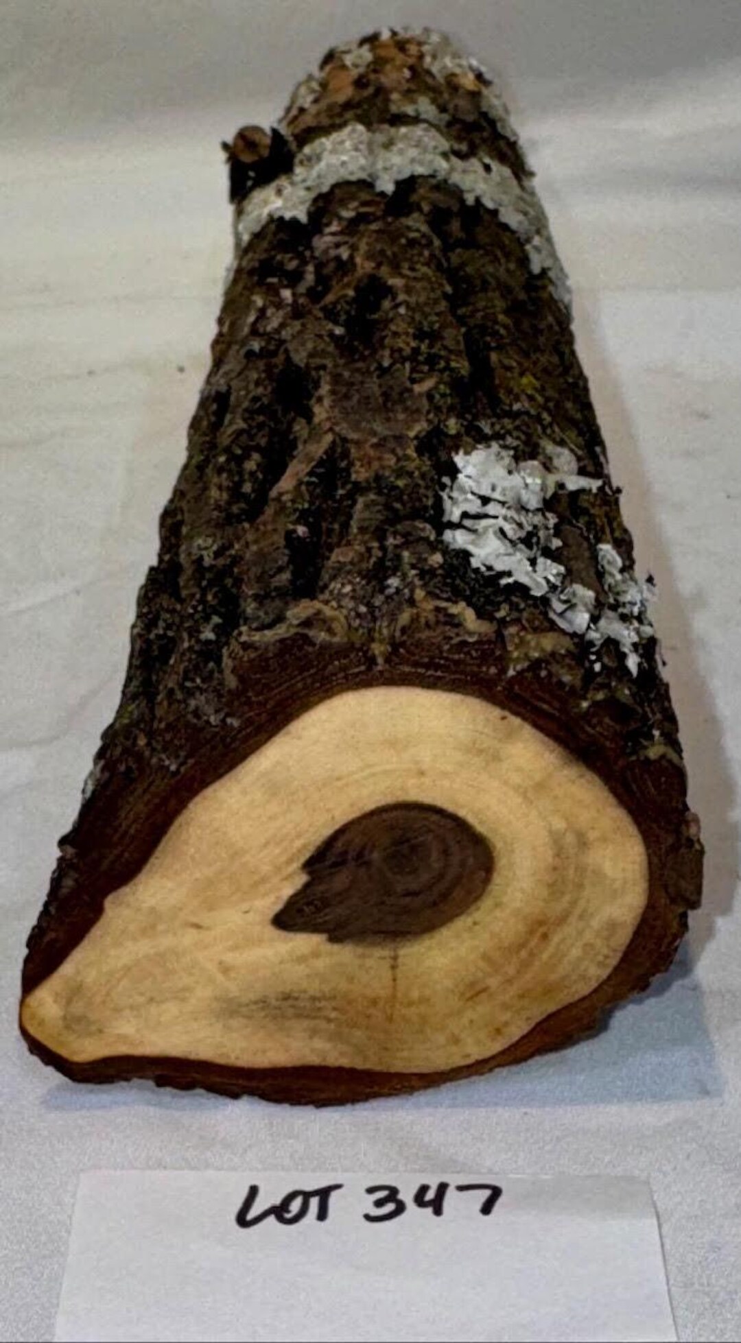 Black Walnut Craft Log, Green Project Log for Woodworking, Wood Carving ...