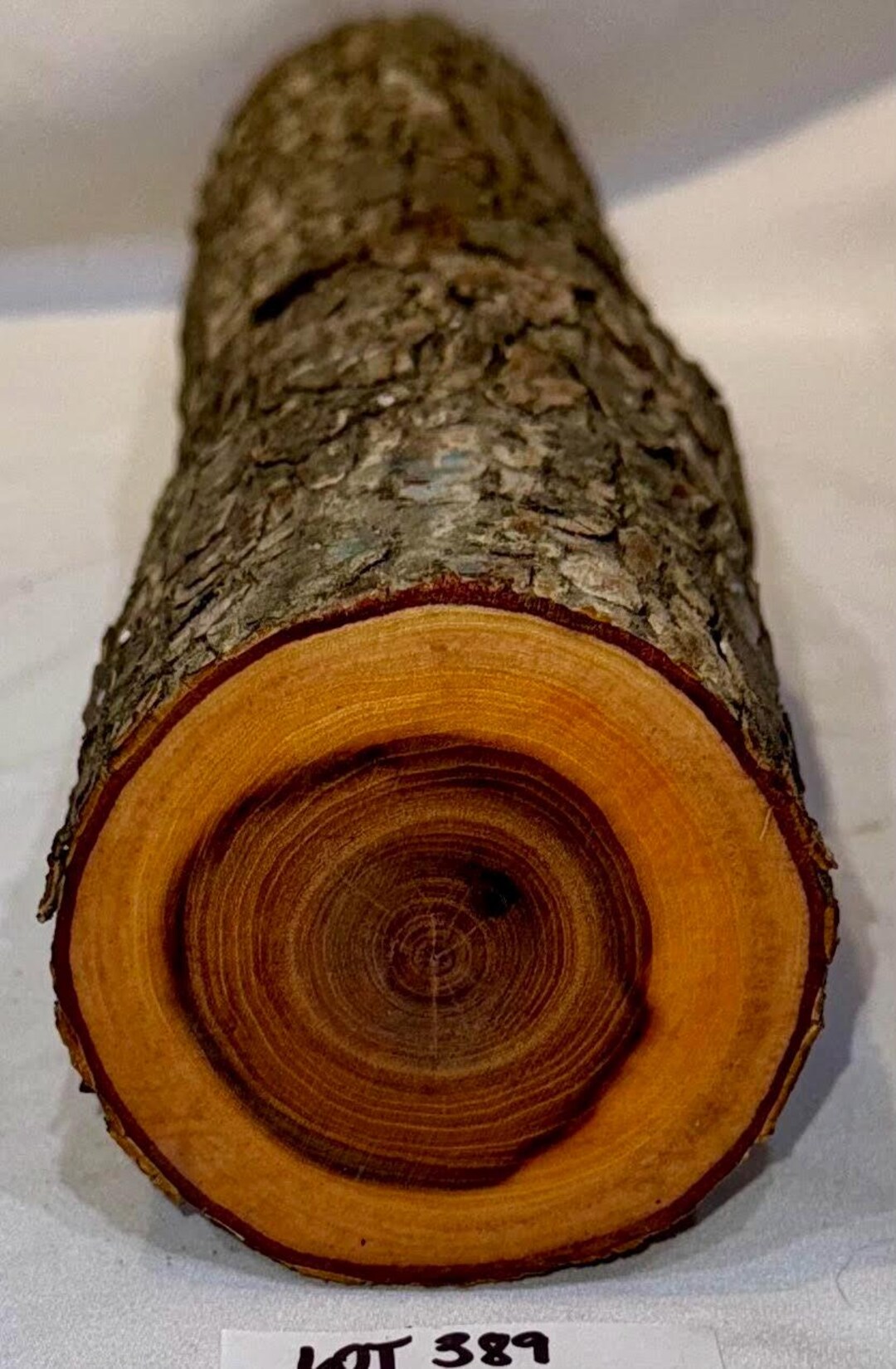 American Hornbeam, Blue Beech, Ironwood, Musclewood Craft Log, Green ...