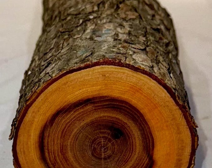 American Hornbeam, Blue Beech, Ironwood, Musclewood Craft Log, Green ...