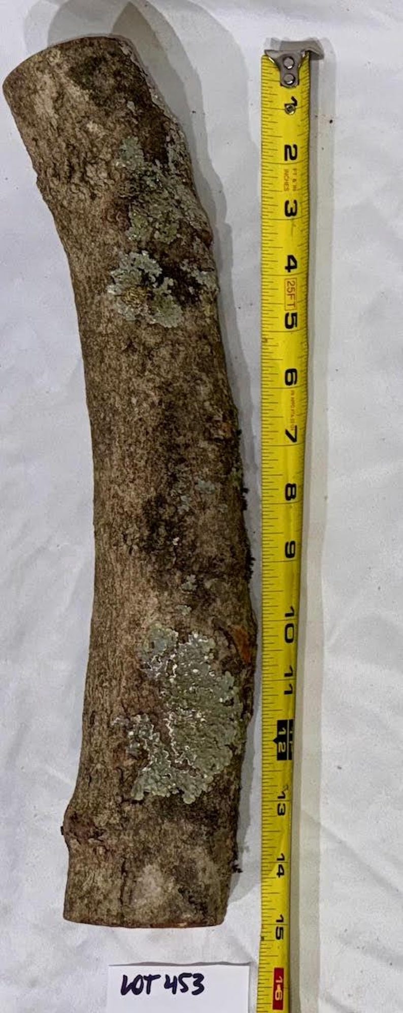 Honey Locust Craft Log, Woodworking Project Wood, 14 Inches - Etsy