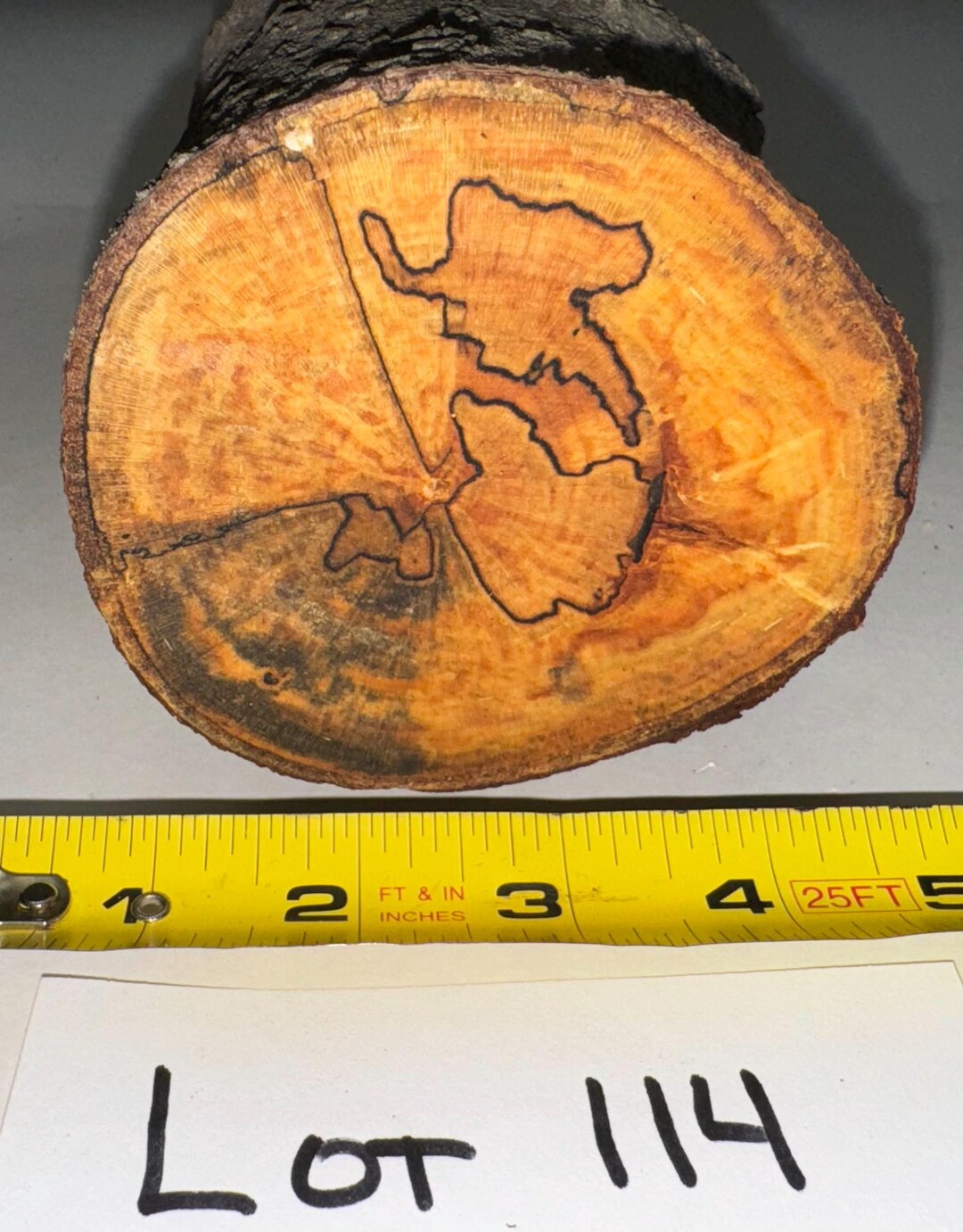 One Piece Spalted Maple Craft Log for Woodturning, Woodworking, Turning ...