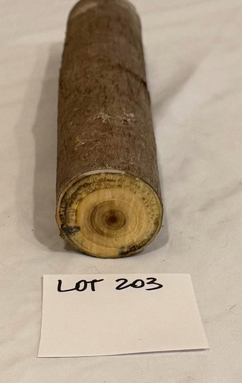 One Piece Black Locust Craft Log for Wood Working, Wood Turning, Wood ...