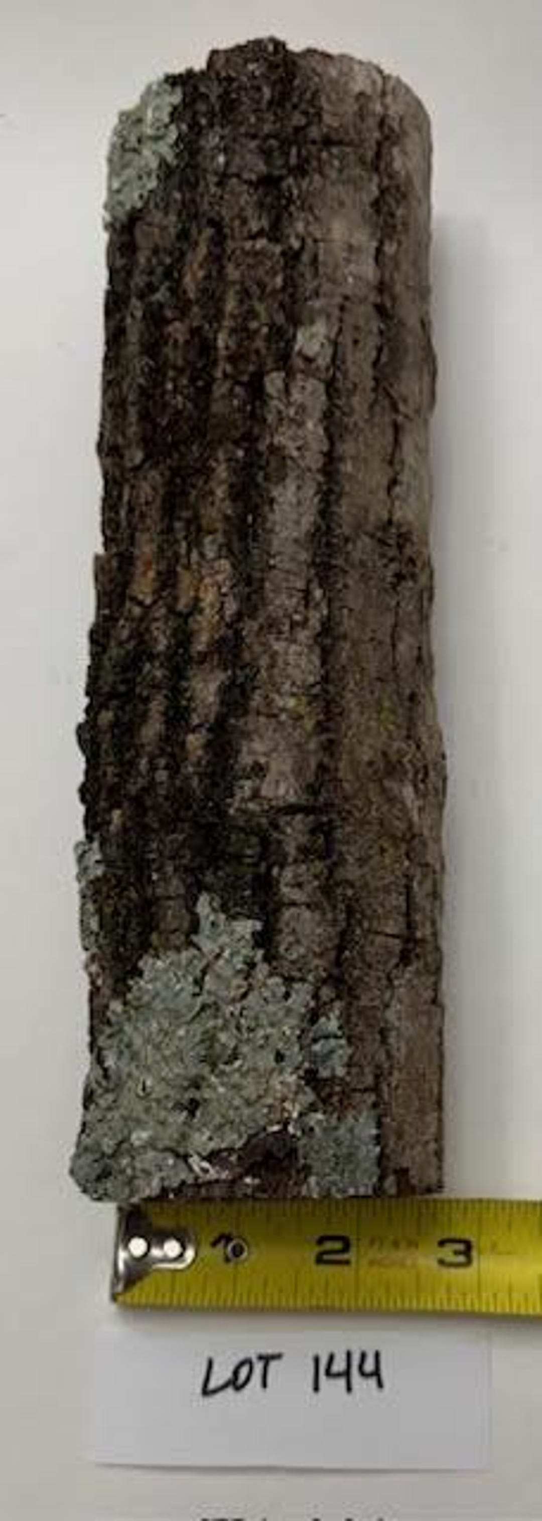 One Piece Black Walnut Craft Log for Woodturning, Woodworking, Turning ...