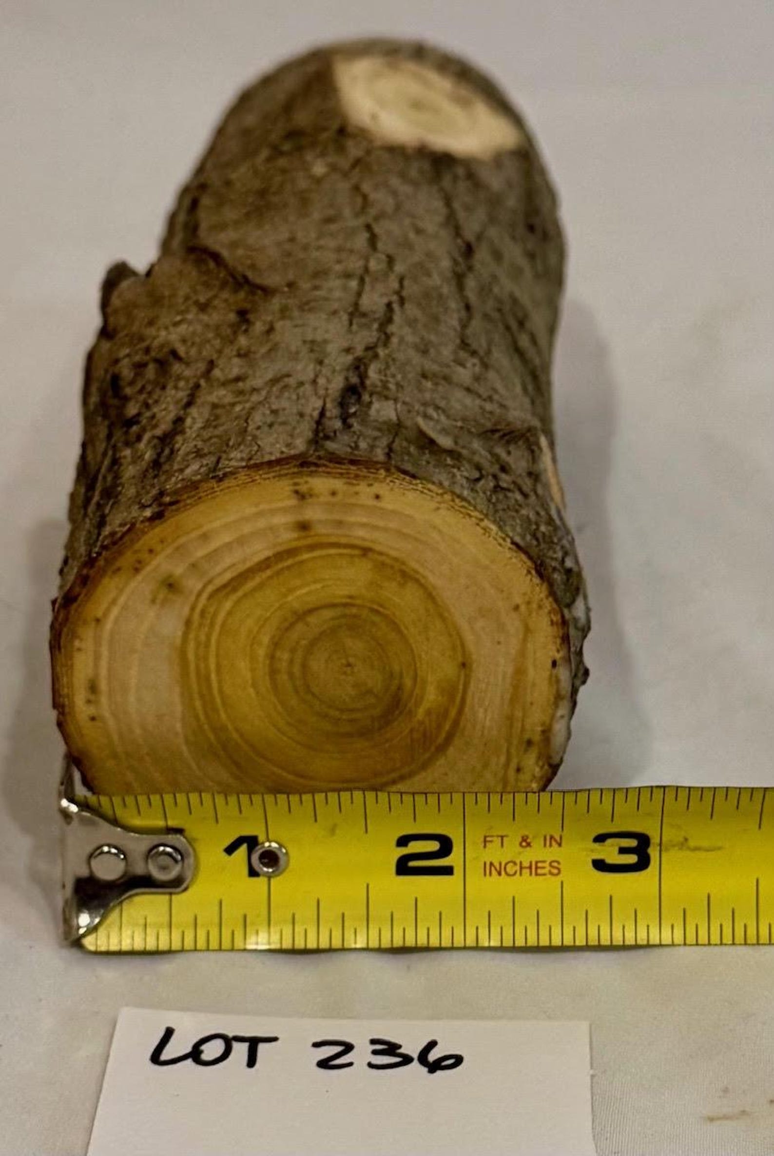 Mulberry Craft Log for Wood Working, Wood Turning, Wood Carving, Crafts ...