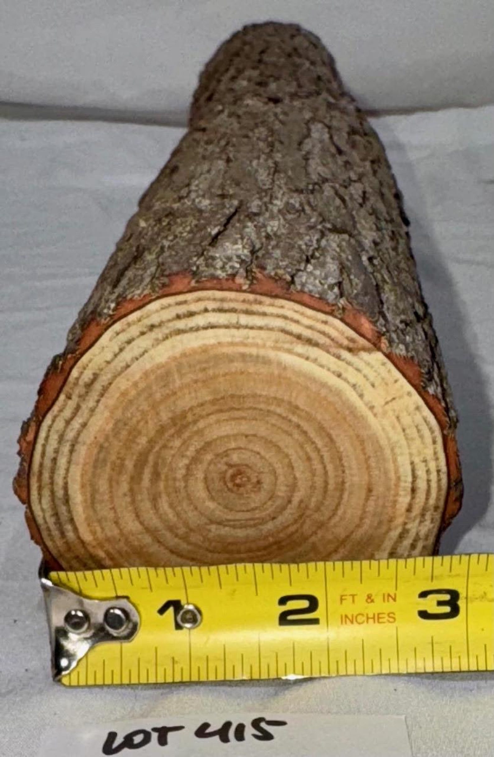 Sassafras Project Log, Green Project Log for Woodworking, Wood Carving ...