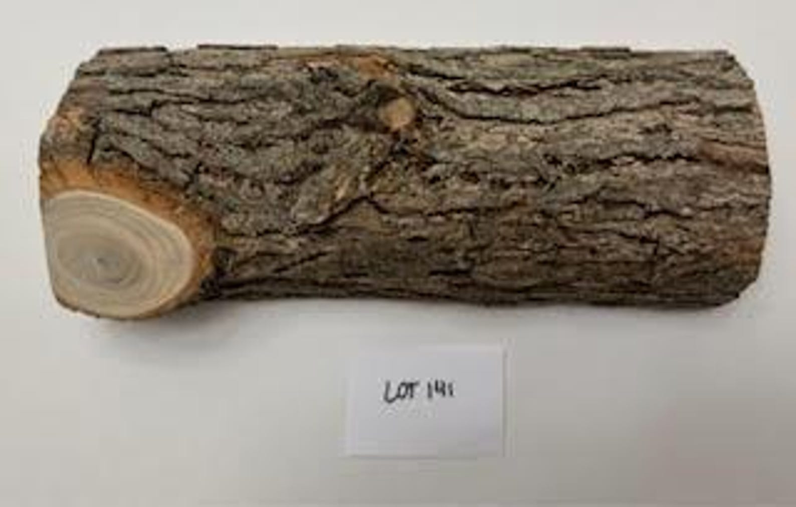 One Piece Sassafras Live Edge Craft Log for Woodworking, Woodturning ...