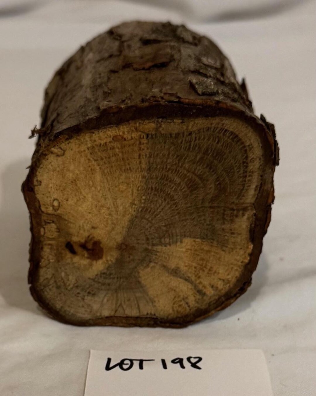 Spalted Oak Craft Log, Woodworking, Carving, Turning (4.5x3.75) - Etsy