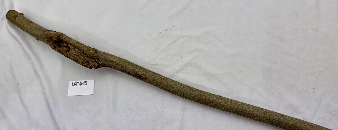 Long Hazel Wood Walking Stick Blank, 65.5 Inch Staff Cane - Etsy