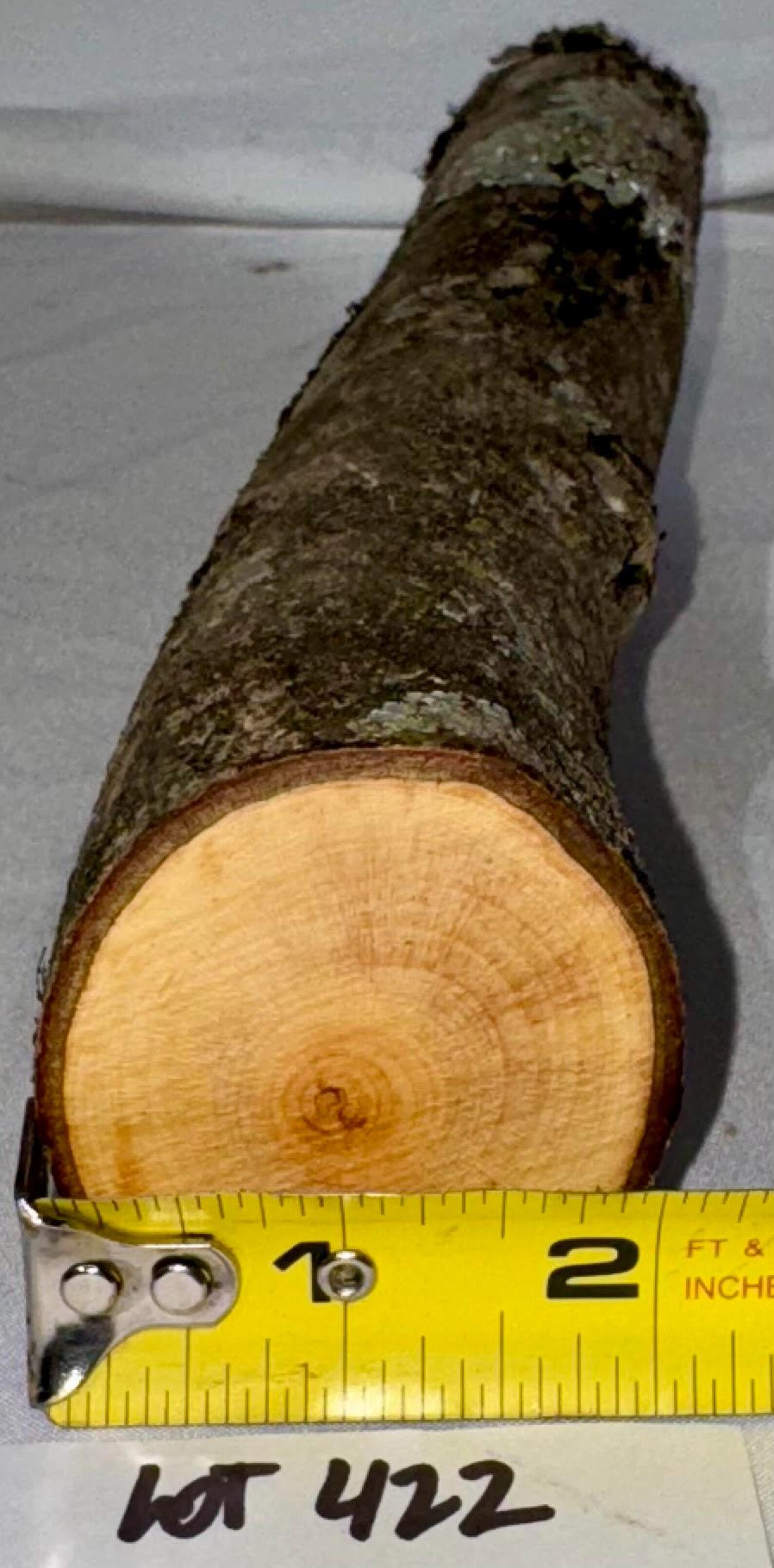 Honey Locust Wood Log, Green Woodworking, Carving Blank - Etsy