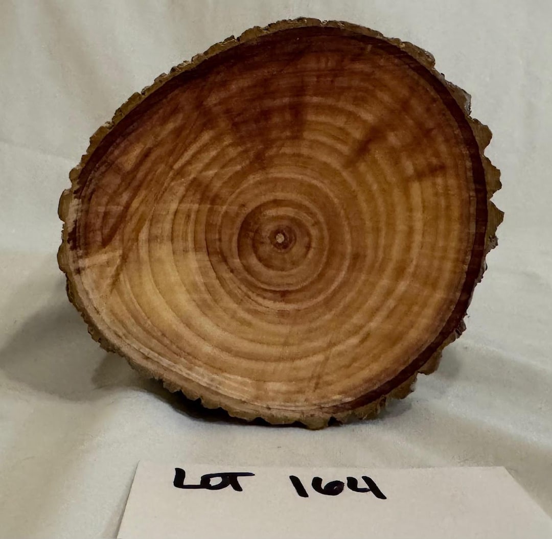 One Piece Ash Project Wood/craft Log for Carving Blanks, Turning Blanks ...