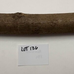 One Piece Black Locust Craft Log for Woodturning, Woodworking ...