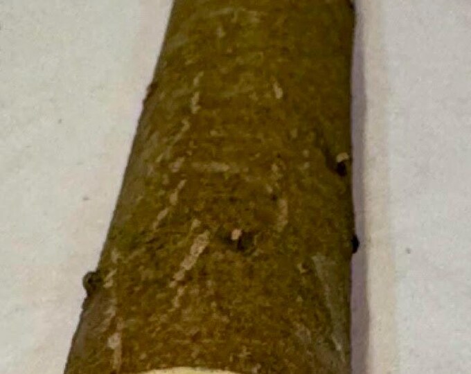 Black Locust Craft Log, Green Craft Log for Wood Working, Wood Turning ...