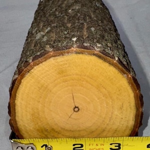 Persimmon Project Log, Green Project Wood for Woodworking, Wood Carving ...