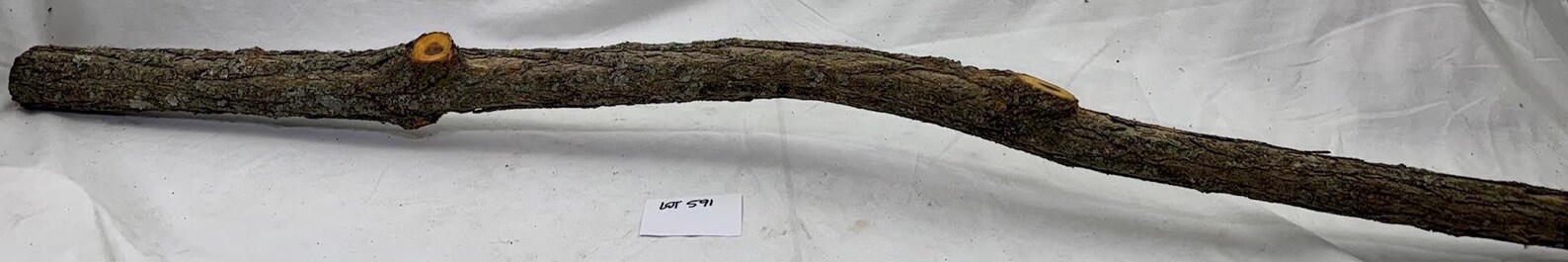 Black Locust Walking Stick Blank, Wood Carving Project, 63 Inches - Etsy
