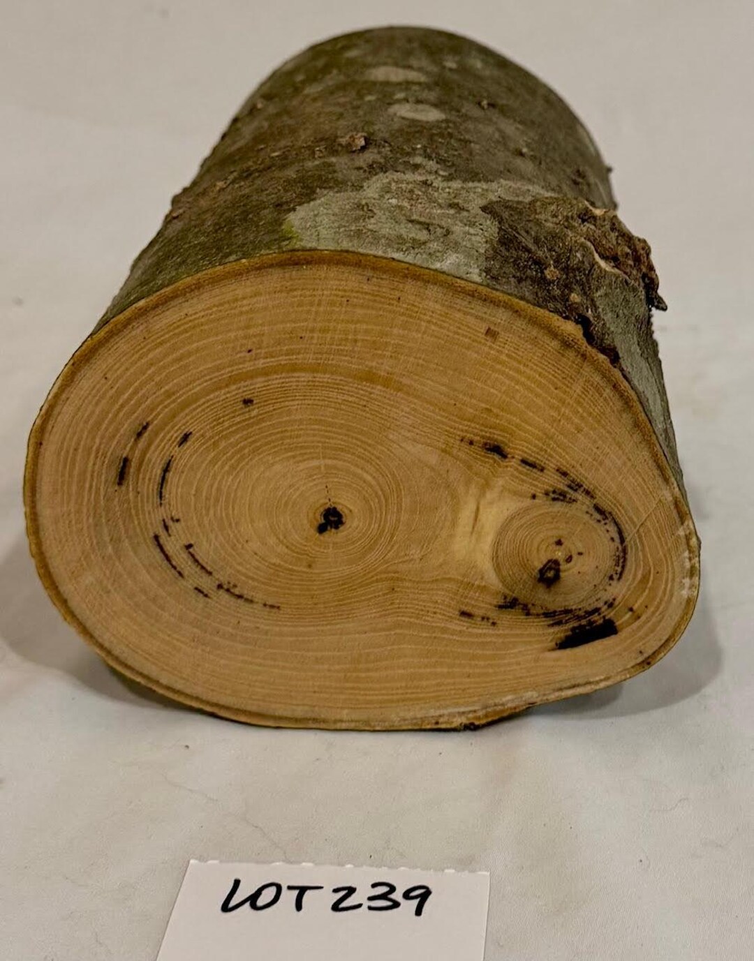 Hackberry Craft Log, Green Project Log for Wood Working, Wood Turning, Wood Carving, Crafts or ...