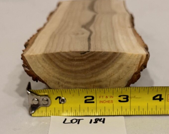 One Piece Live Edge Sassafras Project Wood for Wood Working, Wood ...