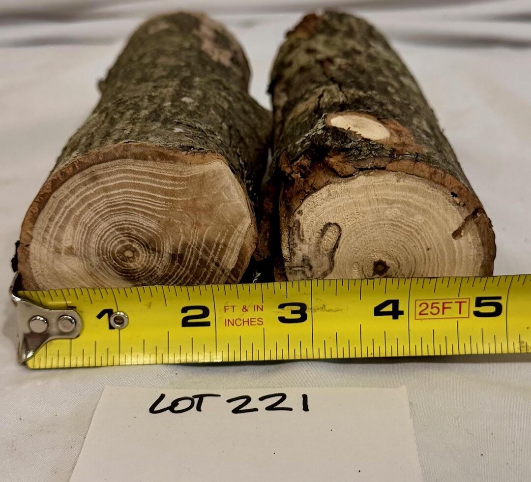 2 Pieces Hickory Craft Logs for Wood Working, Wood Turning, Wood ...