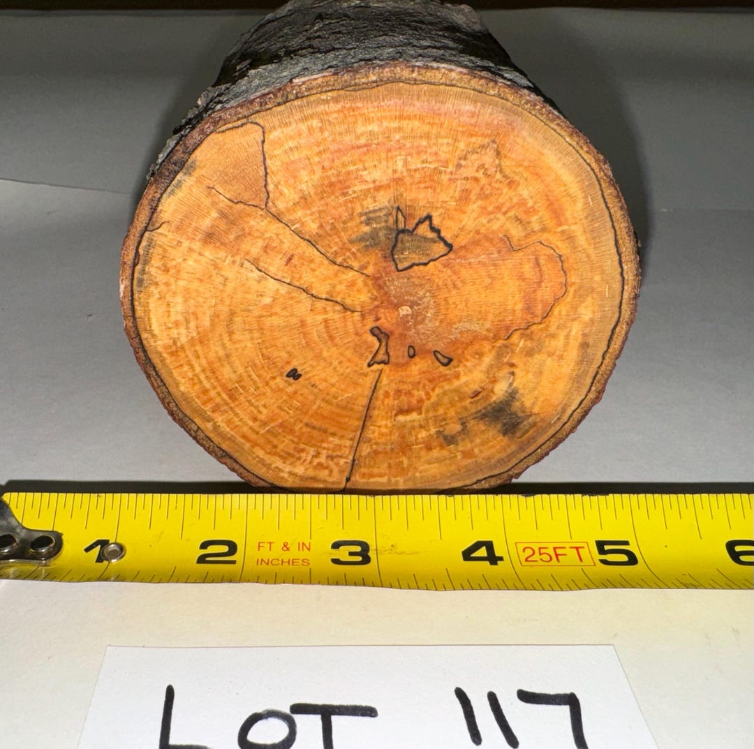 Spalted Maple Craft Log, Woodturning Blank (4.25x3.5) - Etsy