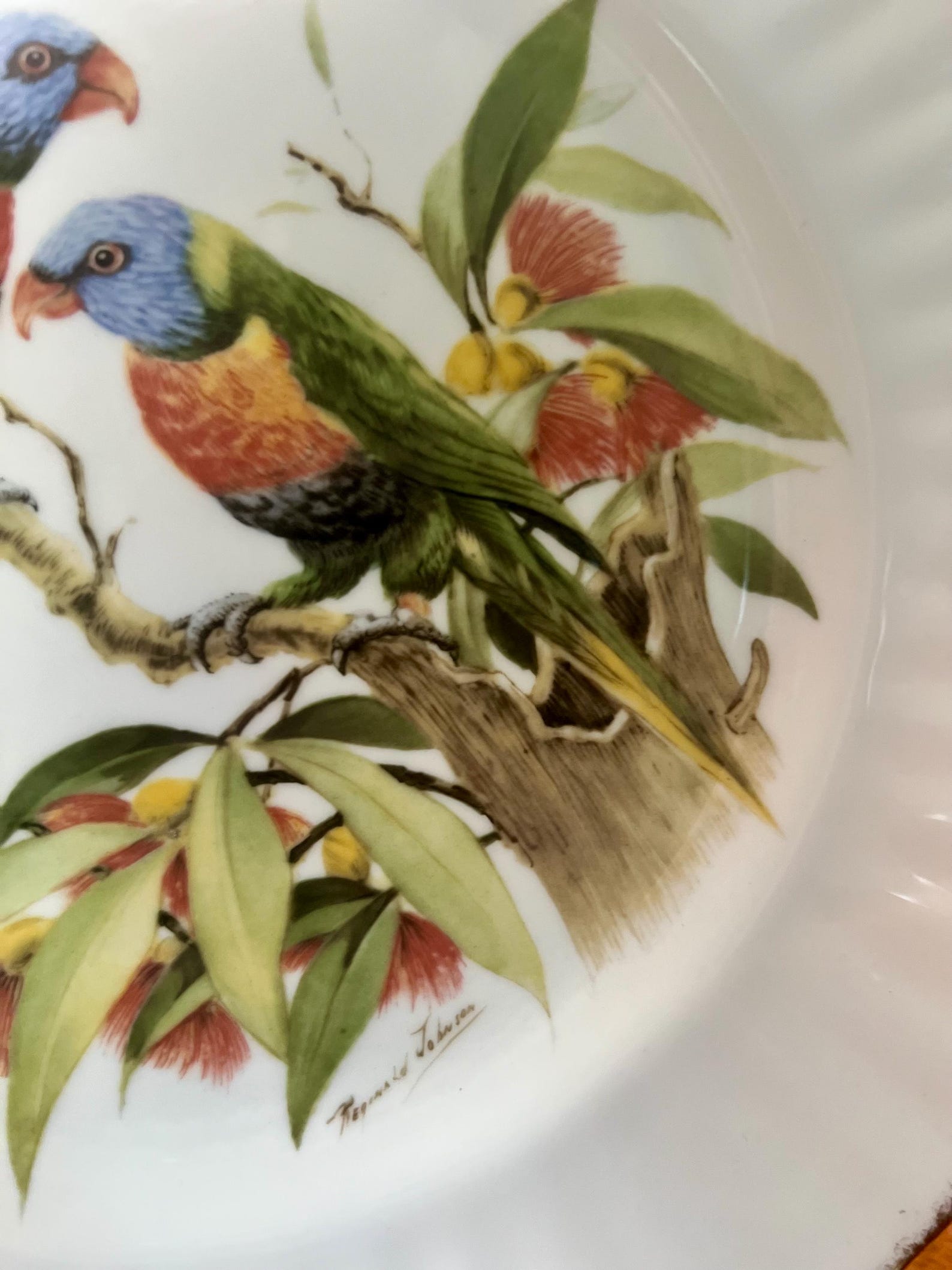Vintage Royal Vale Bone China Exotic Parrots Collector's Plate Cabinet ...