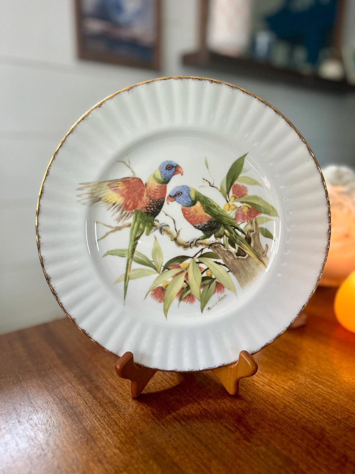 Vintage Royal Vale Bone China Exotic Parrots Collector's Plate Cabinet ...