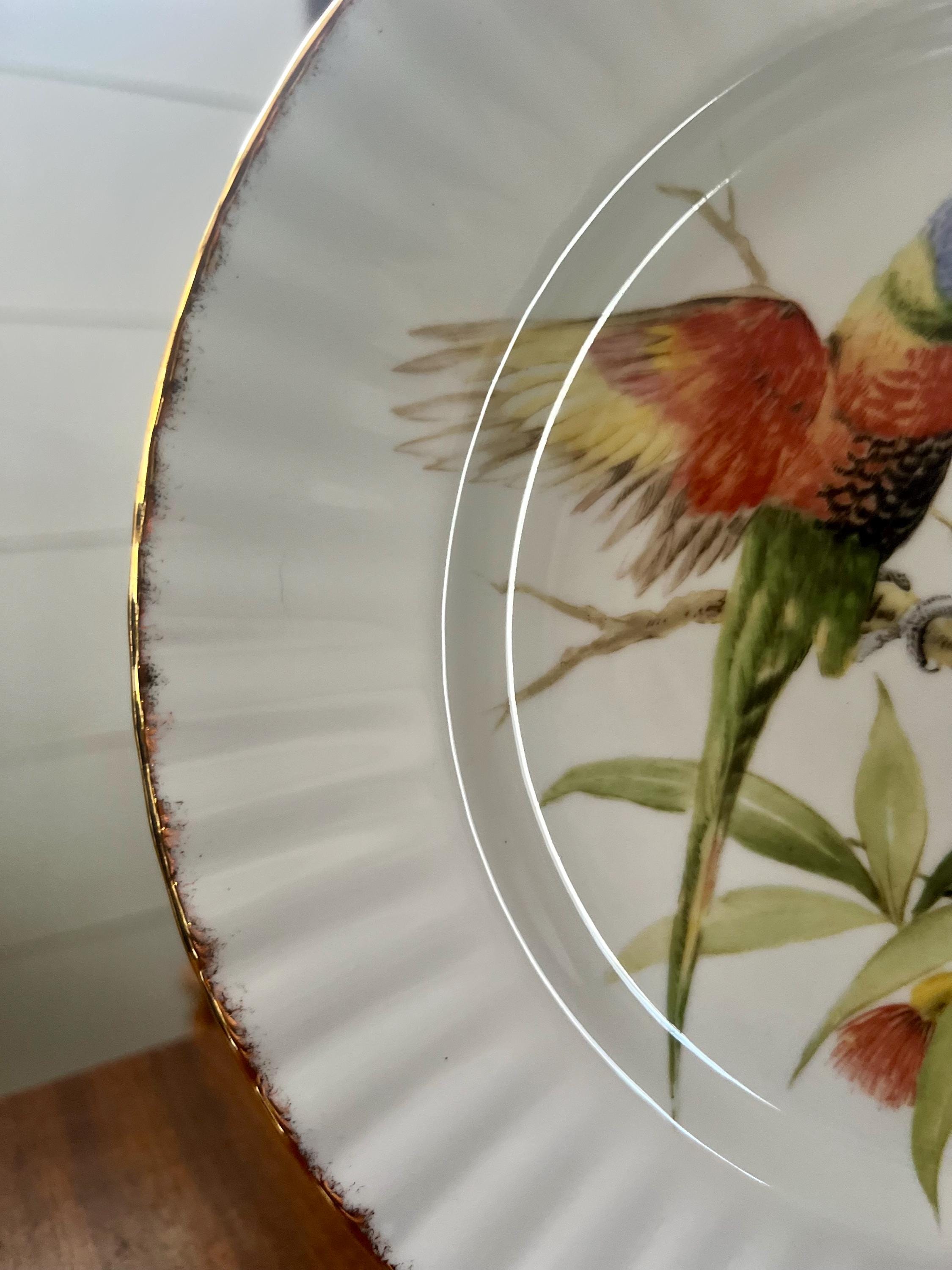 Vintage Royal Vale Bone China Exotic Parrots Collector's Plate Cabinet ...