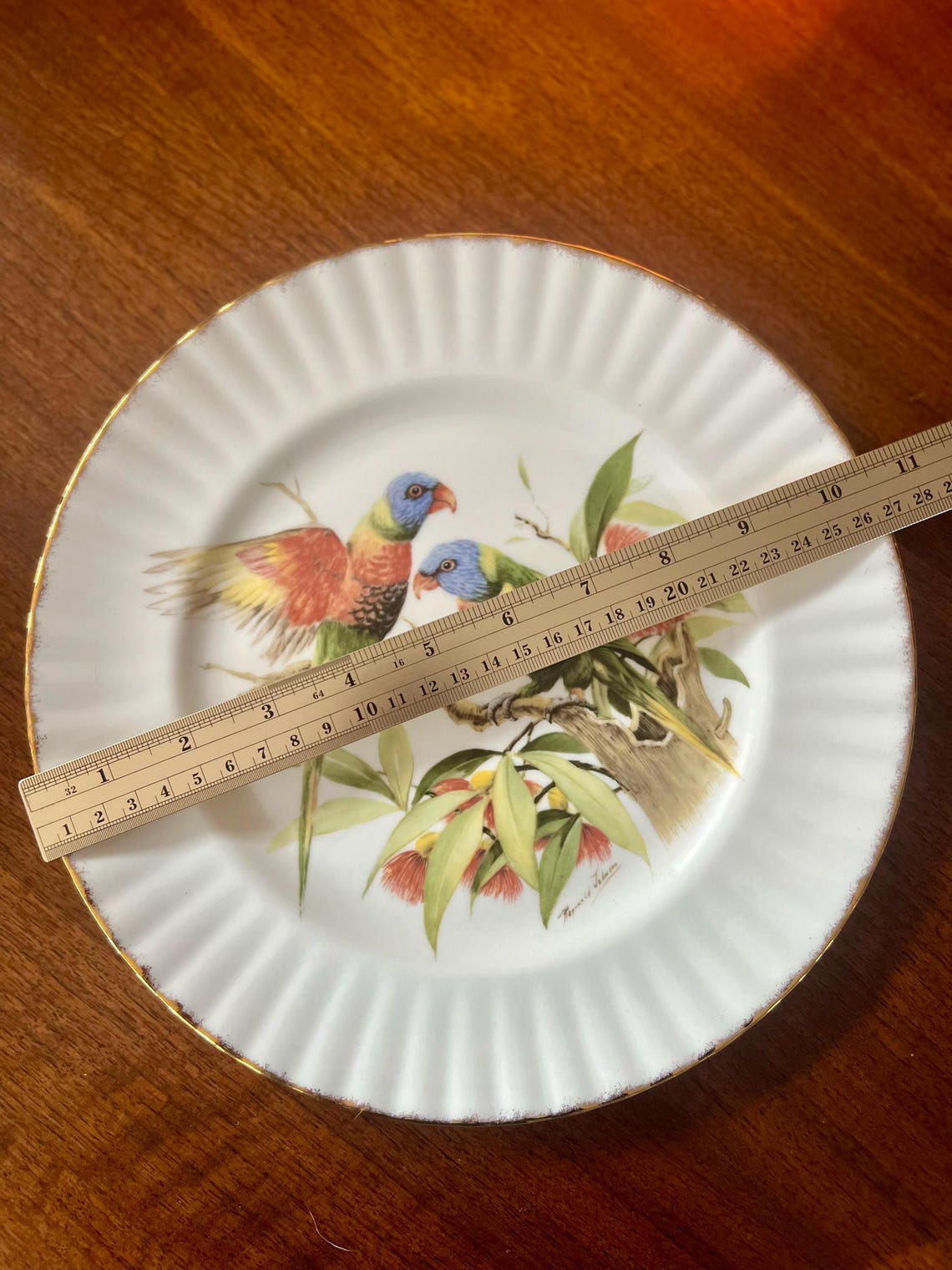 Vintage Royal Vale Bone China Exotic Parrots Collector's Plate Cabinet ...