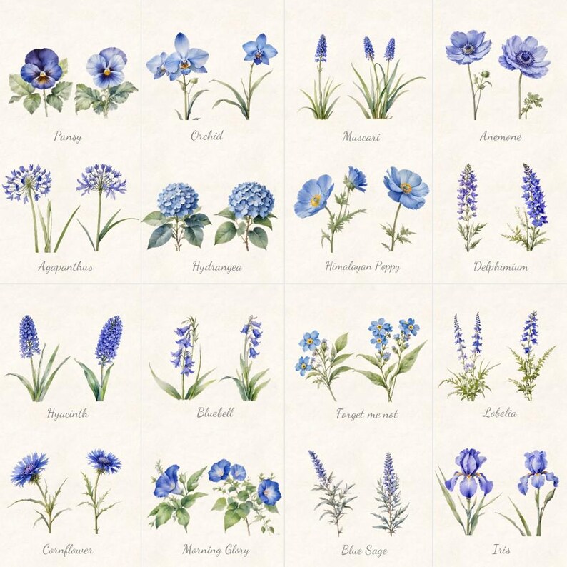 Blue Flowers Digital Clipart Pack Watercolor Flowers Downloadable ...