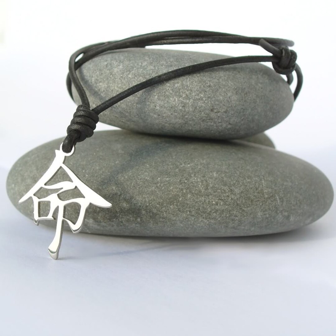 Destiny 2 Kanji Necklace: Stainless Steel Pendant, Adjustable Leather ...