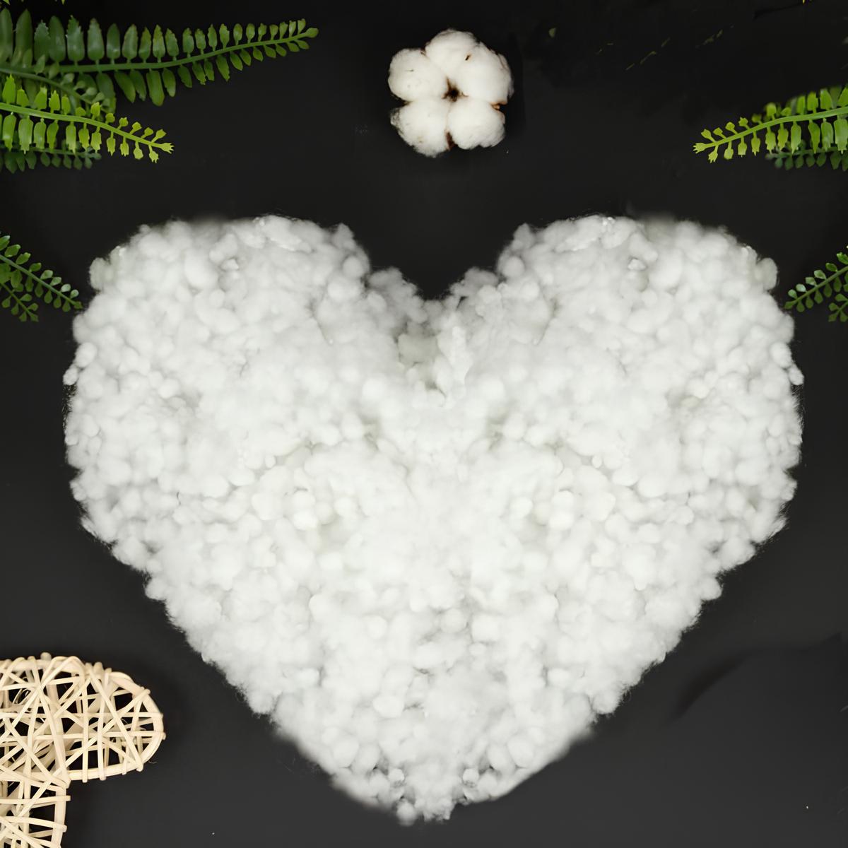 Custom K-pop Picture Pillow, Personalized Gift for K-pop Fan, Stray ...