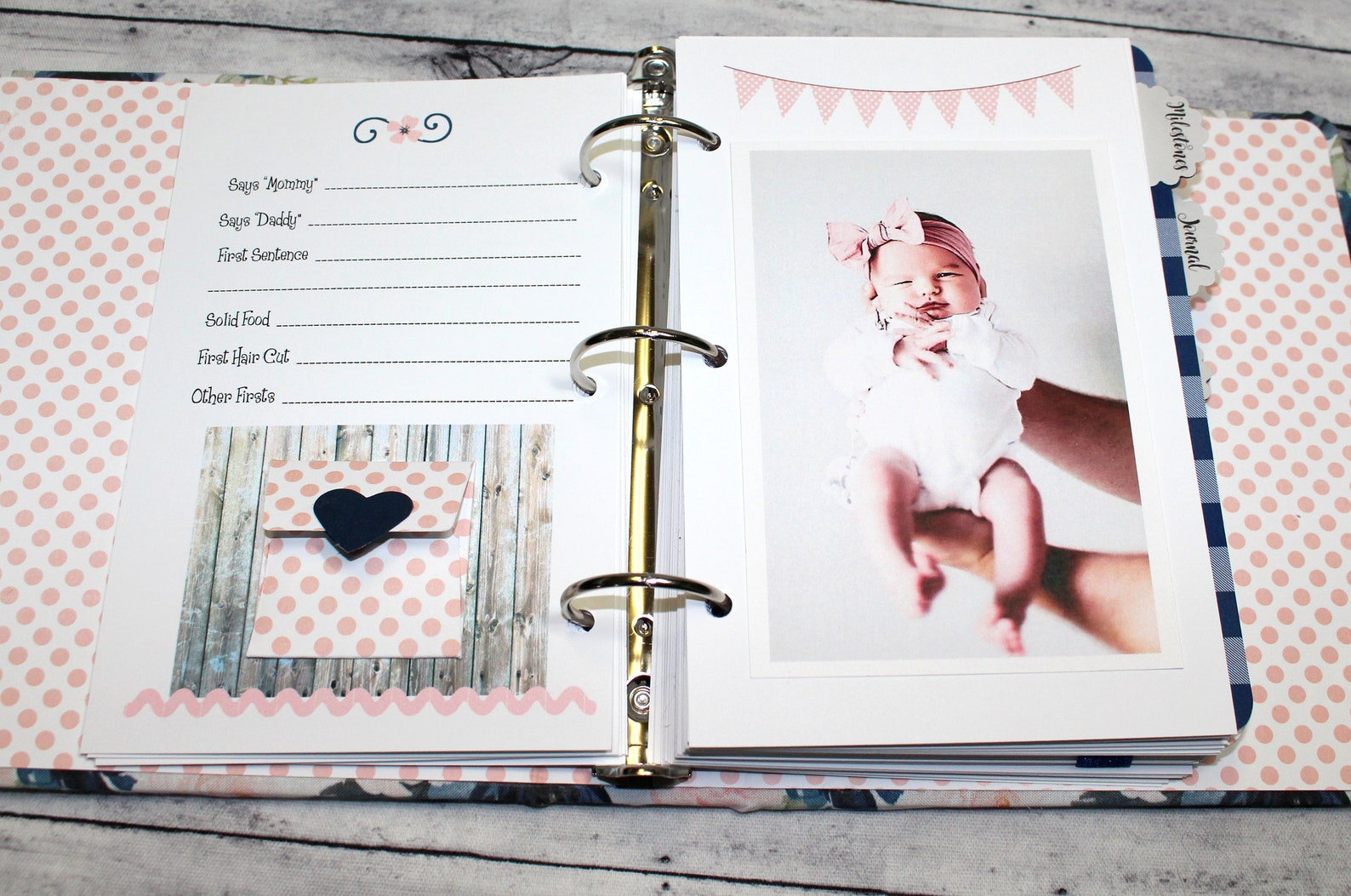 Baby Journal Baby Memory Book Baby Girl Book Baby Blush and | Etsy