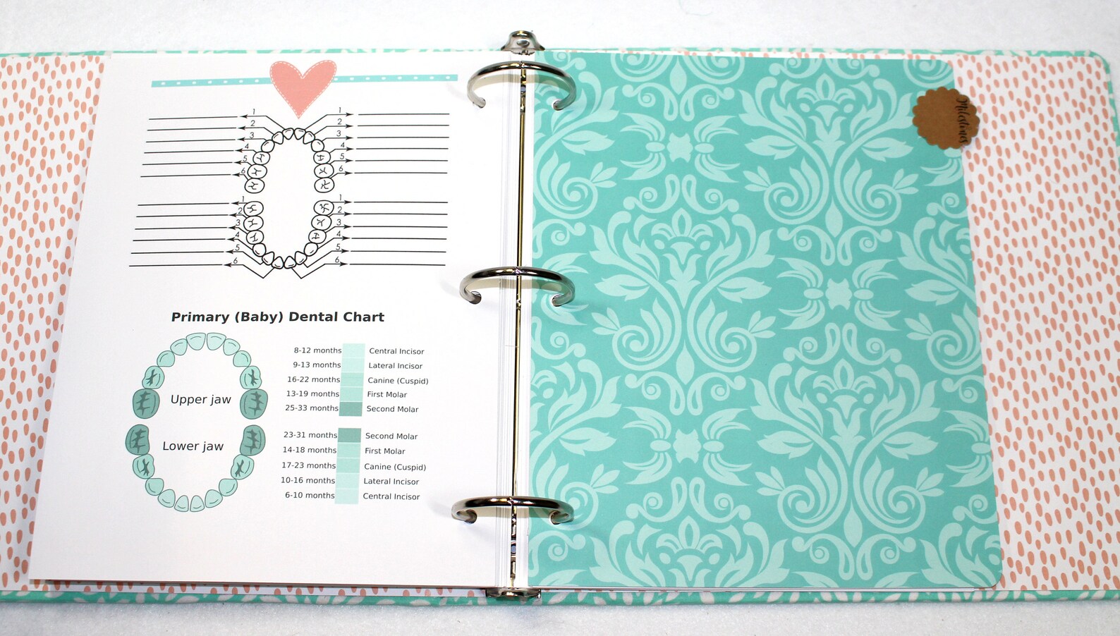 Baby Memory Book Baby Book Girl Floral Baby Book Blush - Etsy