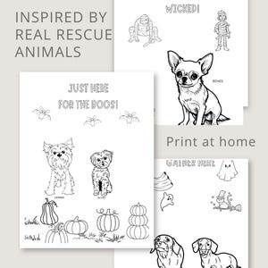 Halloween Rescue Animal Coloring Book Printable Digital Download 28 ...