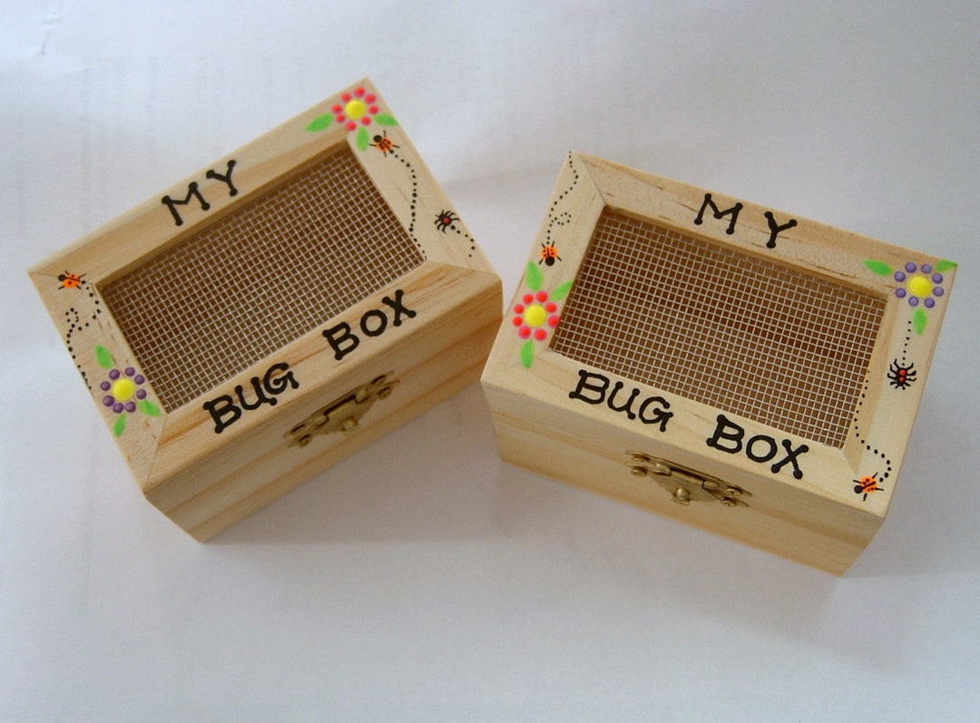 Entomology-diy Science Kit-my Bug Box-wooden Toy-personalize-gifts ...