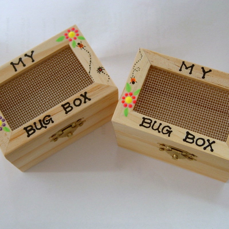 Bug Box - Etsy
