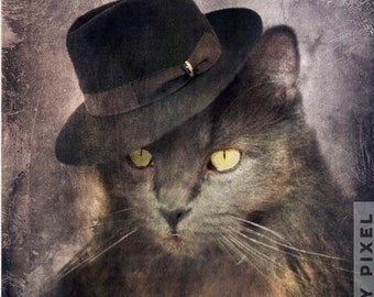 Cat Fedora | Etsy