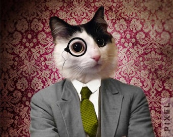 The Amazing Mr. Tom Color Cat Photo Tuxedo Cat Veterinary - Etsy