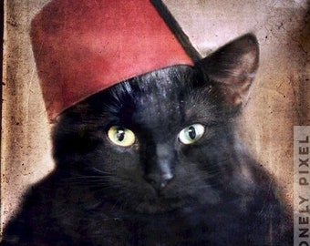 Cat Fez - Etsy