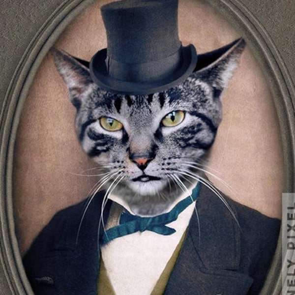 Cat Top Hat - Etsy