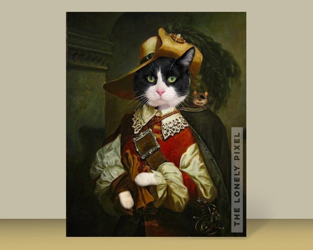 Pirate Tuxedo Cat Photography Art 5x7 16x20 24x32 Captain Handsome - Etsy