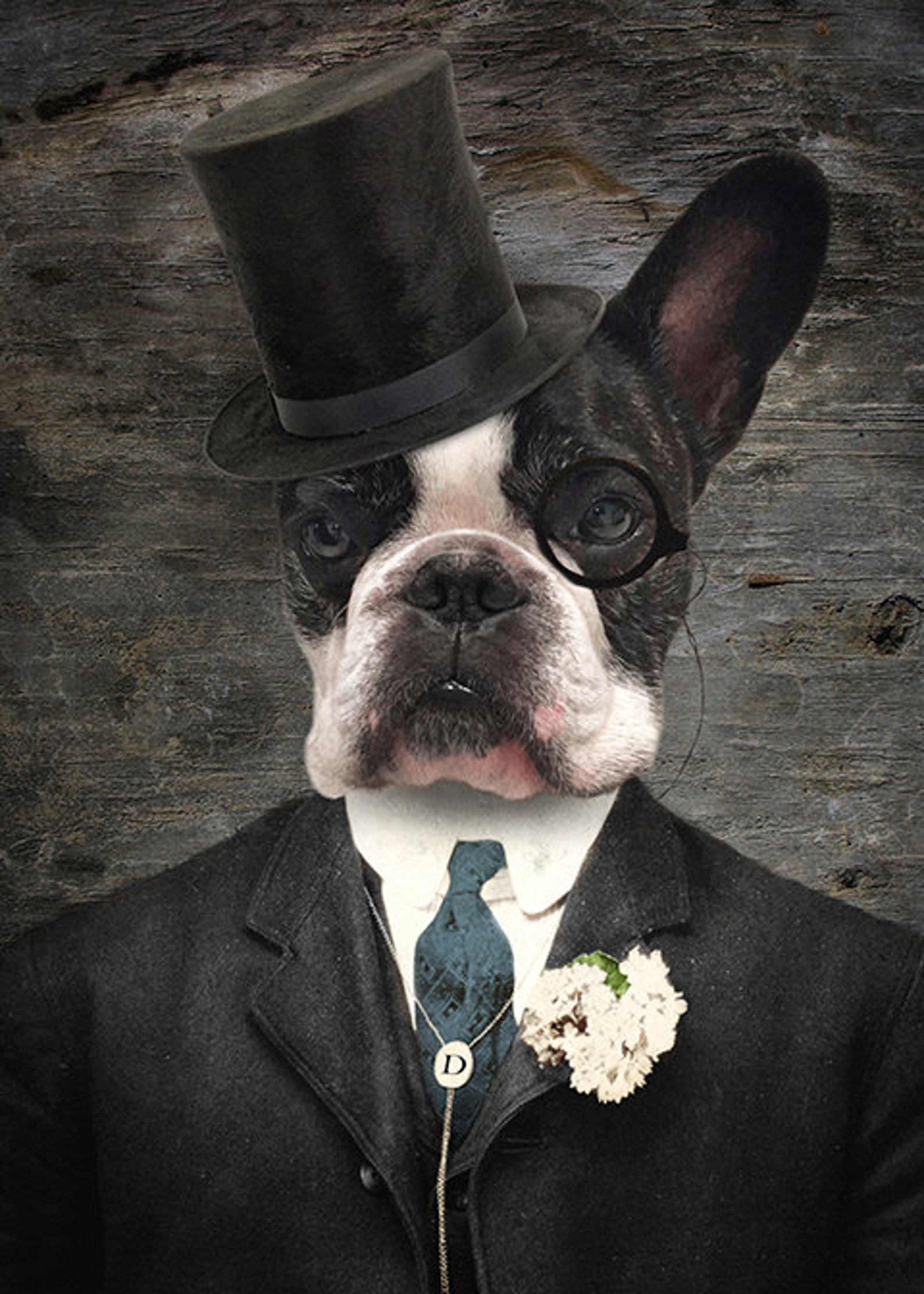 Boston Terrier Wall Photo Print of Top Hat and Monocle Dog Portrait ...
