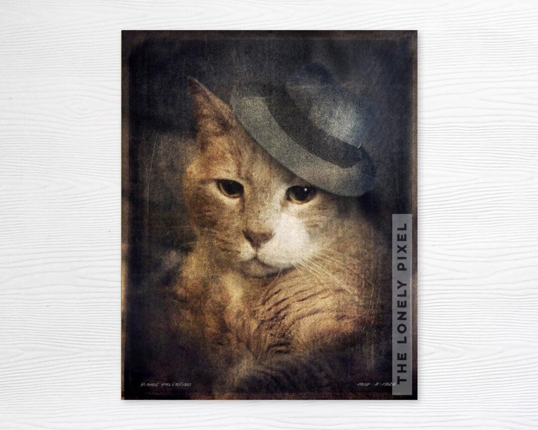 Orange Cat Photo Wall Art Ginger Gangster Kitty Vinnie - Etsy