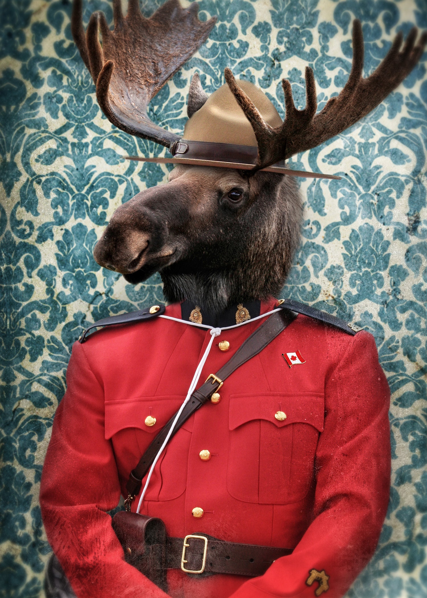 Moose Art Photo Print Canada Art Canadian Mountie - Etsy UK