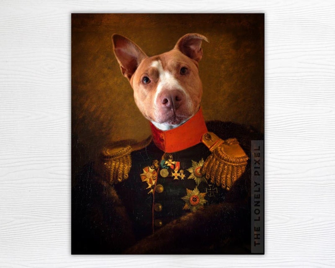Pit Bull Art Photo Print - General Dog - General Guthrie - Etsy