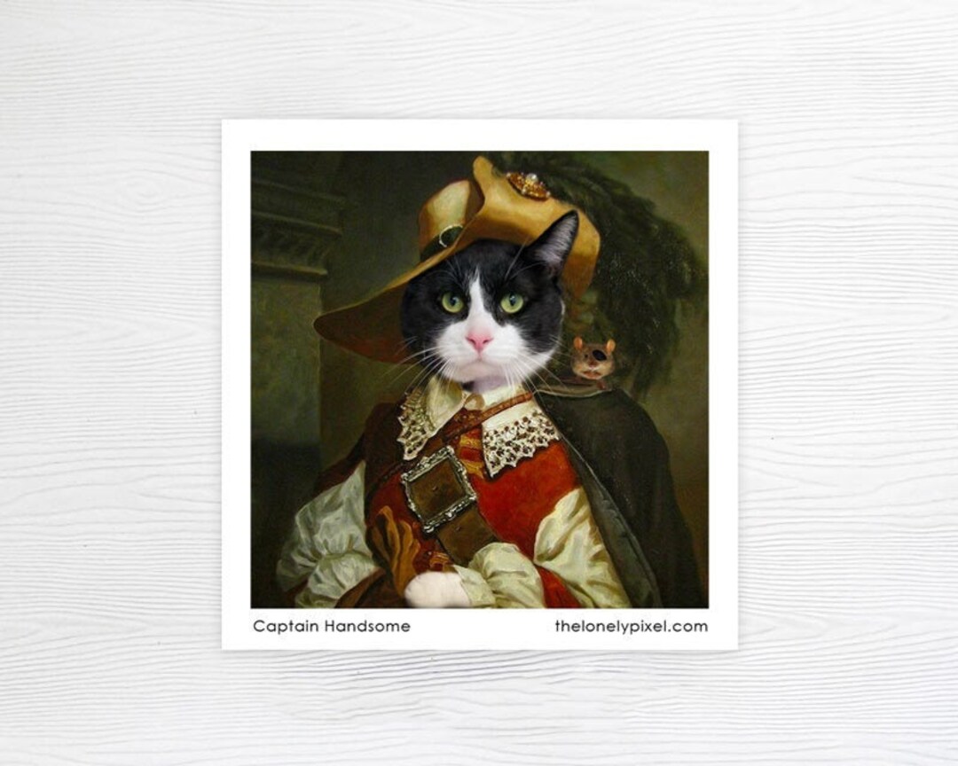 Magnet - Tuxedo Cat - Pirate Kitty - Stocking Stuffer - House Warming ...