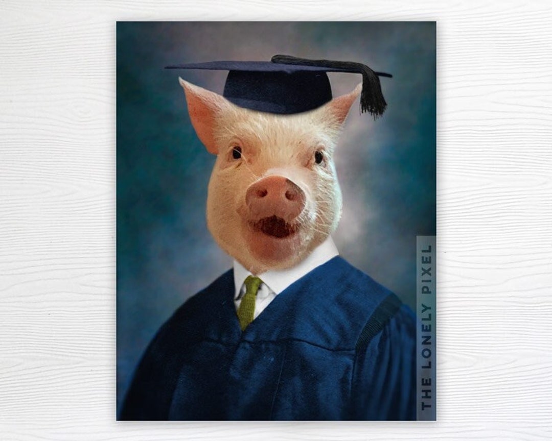 Pig Grad Photo Print Graduation Animal Portrait - Etsy
