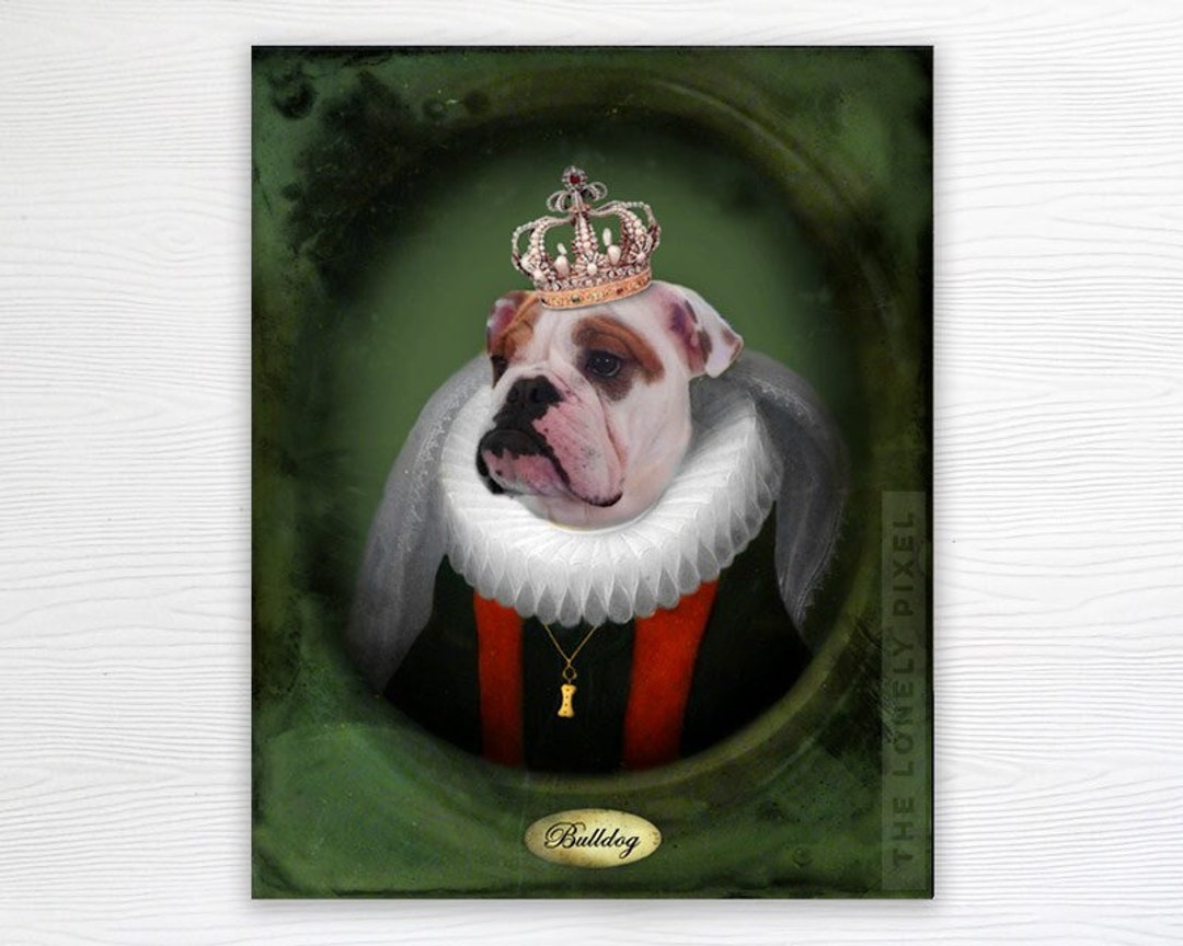 English Queen Bulldog Photo Art Print - Lucy - Etsy